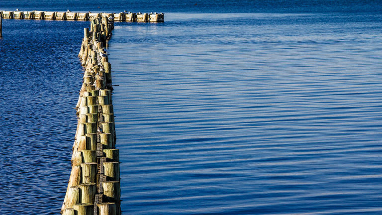 Free Desktop Background | Harbor Divider